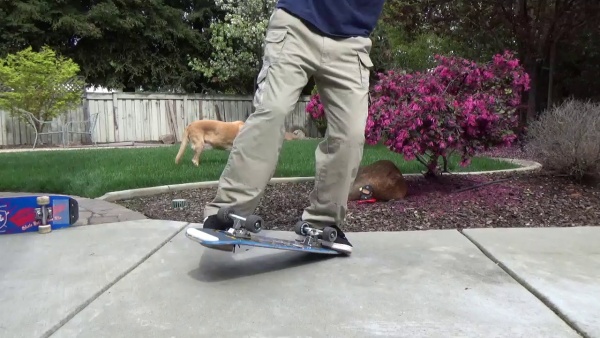 Casper - The Freestyle Knowledge Base