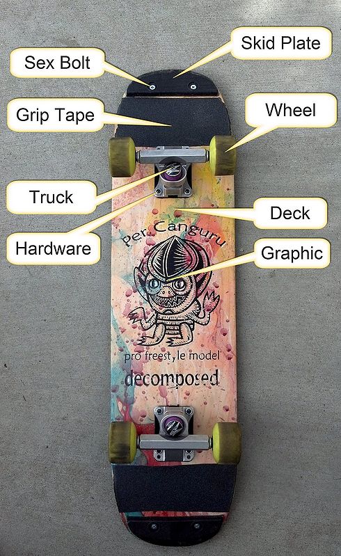 Category:Skateboard Anatomy - The Freestyle Knowledge Base